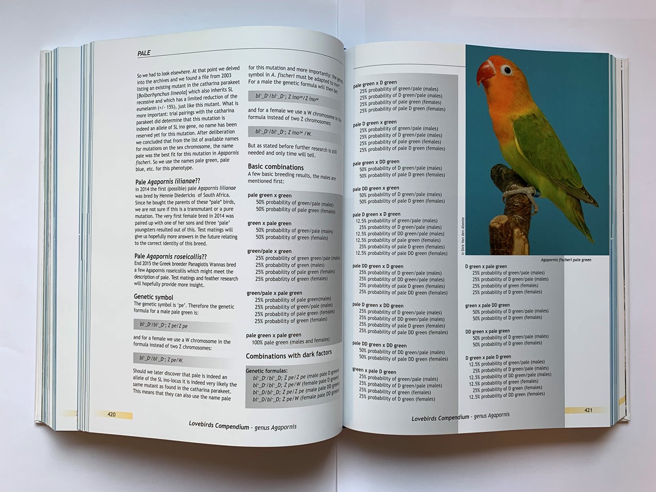 Lovebird Compendium I Red Barn