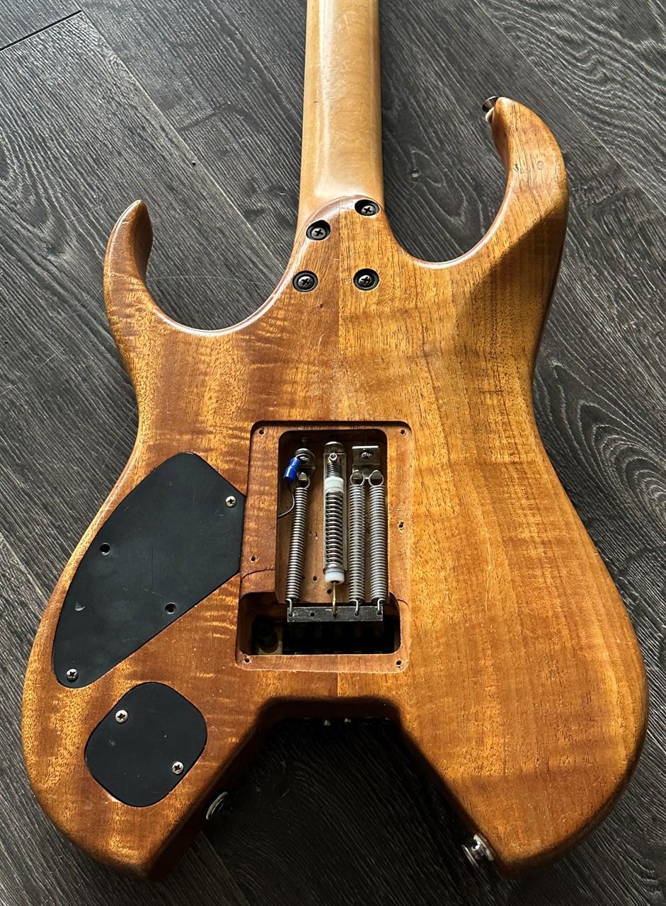 Ibanez RBM10 SOL Reb Beach Signature with EMG Set