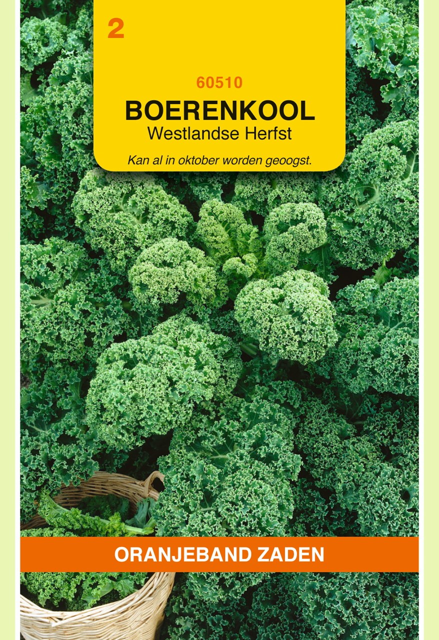 boerenkool zaad